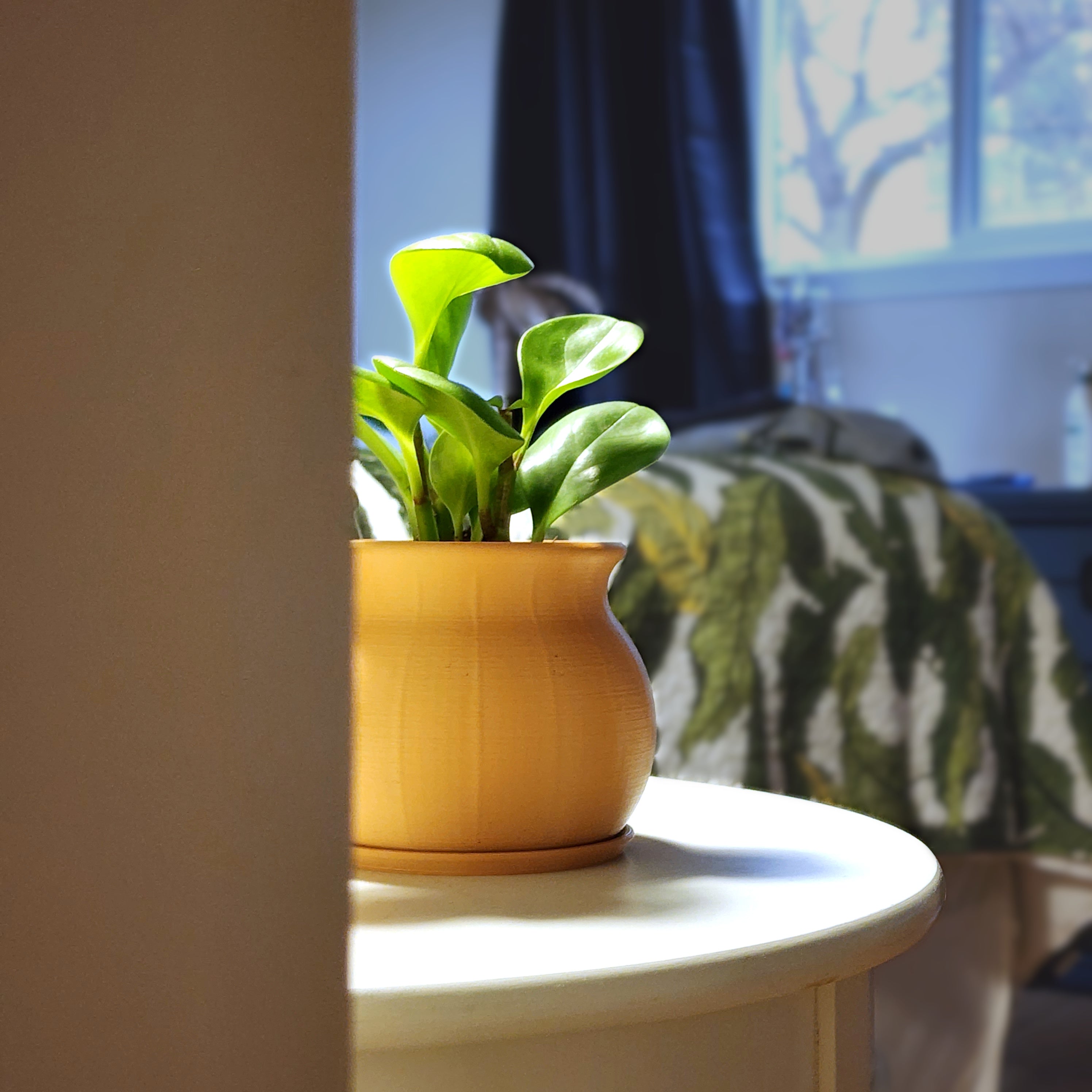 Sale – Good Company Eco Store